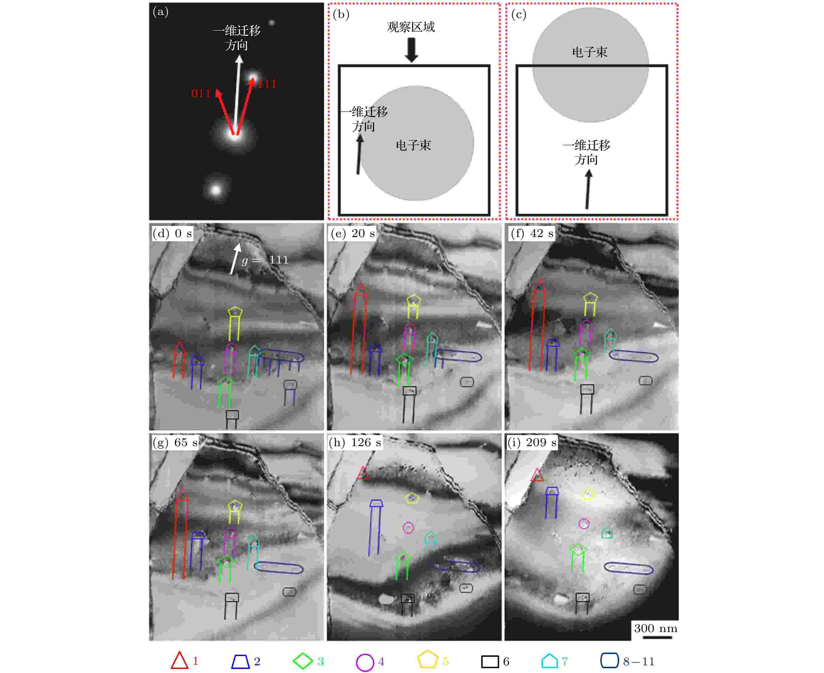 In-situ study of one-dimensional motion of interstitial-type ...