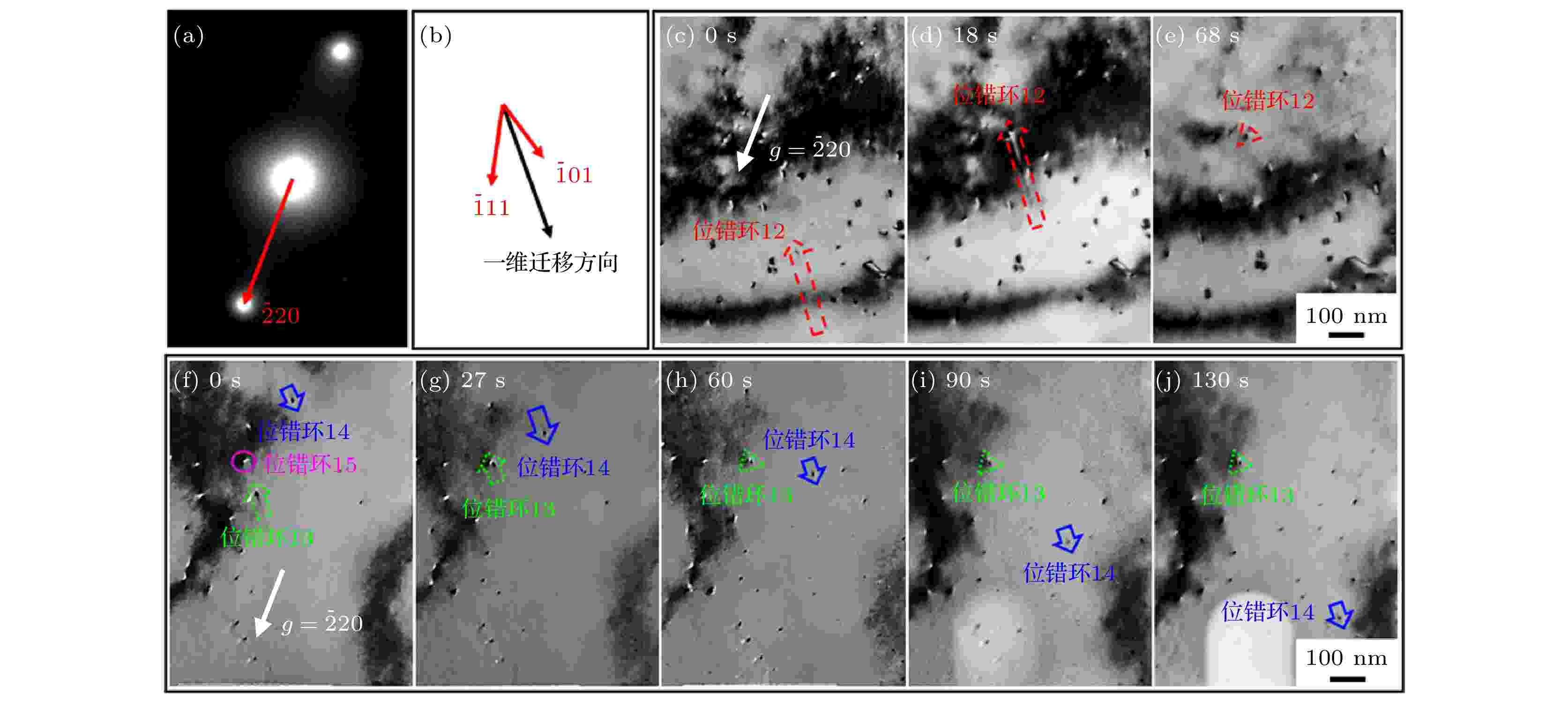 In-situ study of one-dimensional motion of interstitial-type ...