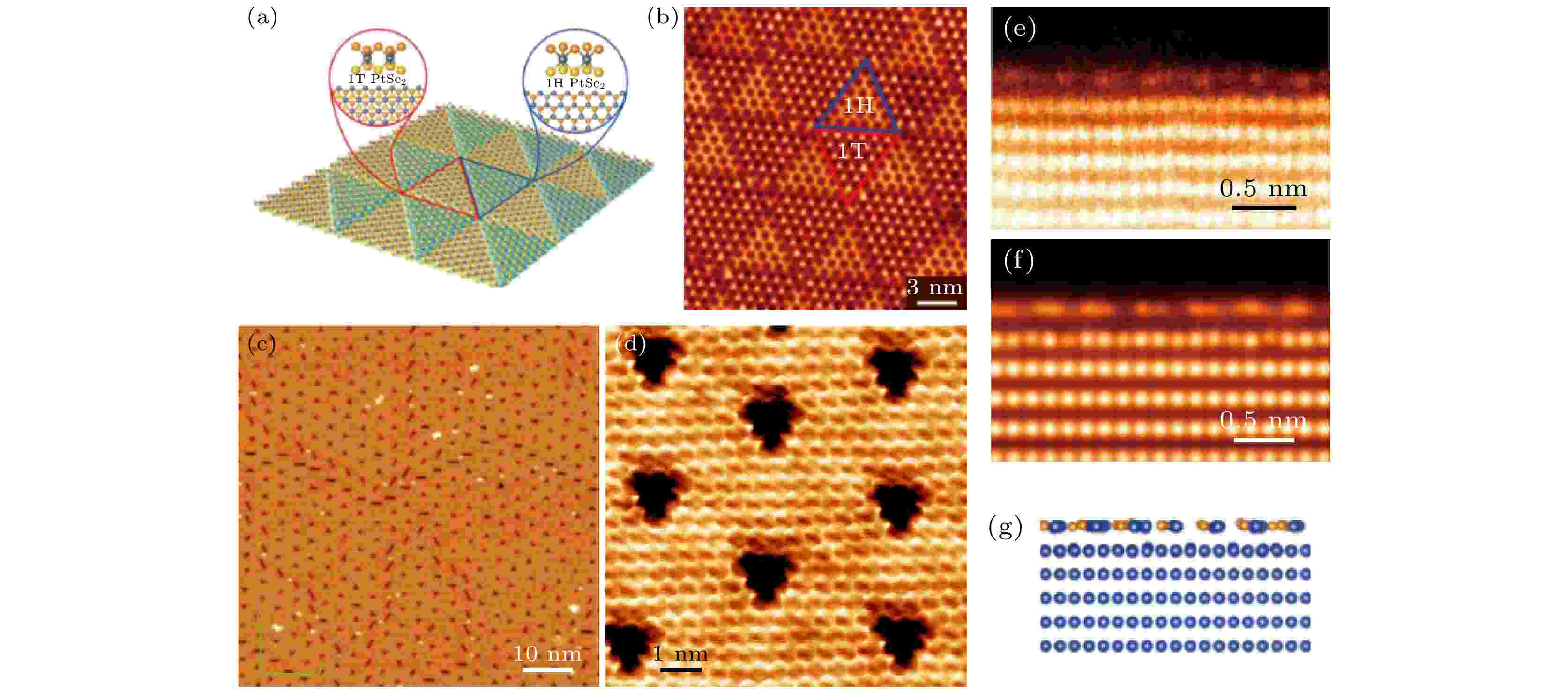 Novel two-dimensional materials and their heterostructures constructed ...