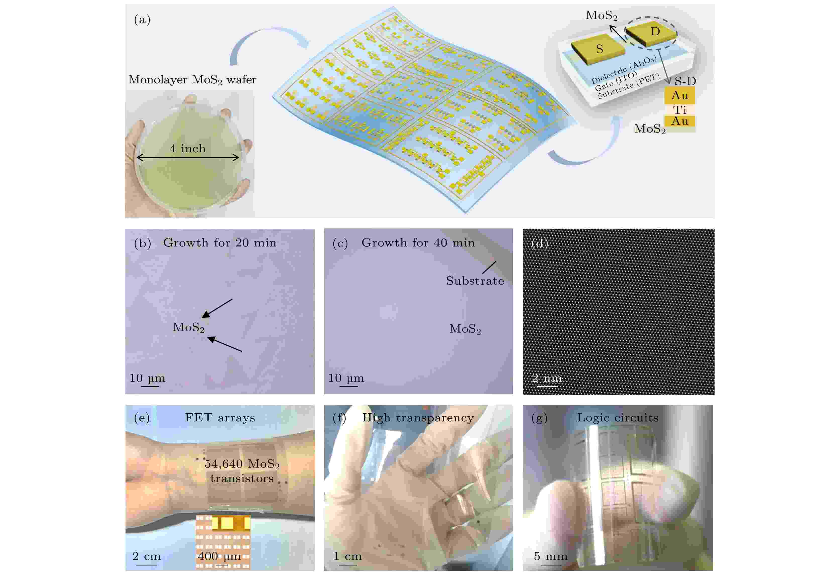 Cotrollable growth of monolayer MoS 2 films and their applications in ...