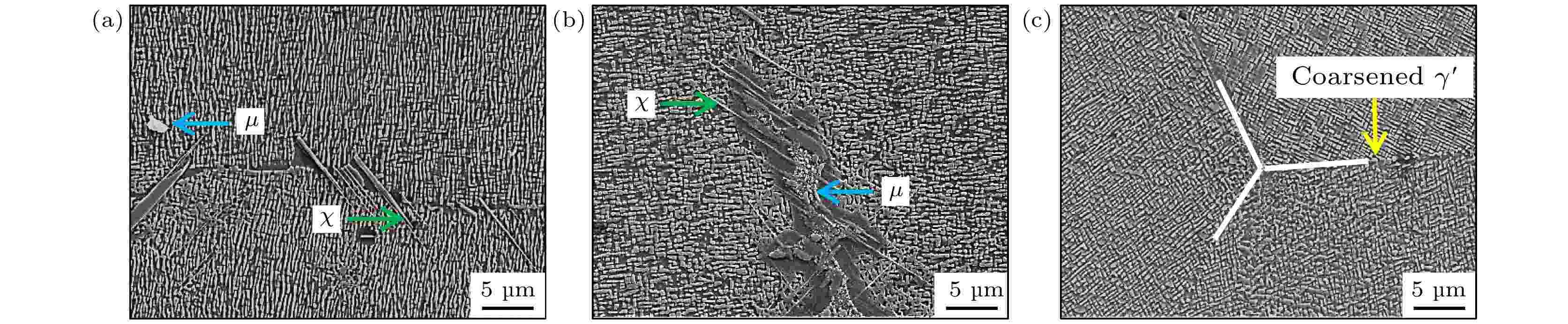 低密度Co-Ni-Al-Mo-Cr-Ti/Nb/Ta系列高温合金方形γ/γ′共格组织设计及其稳定性