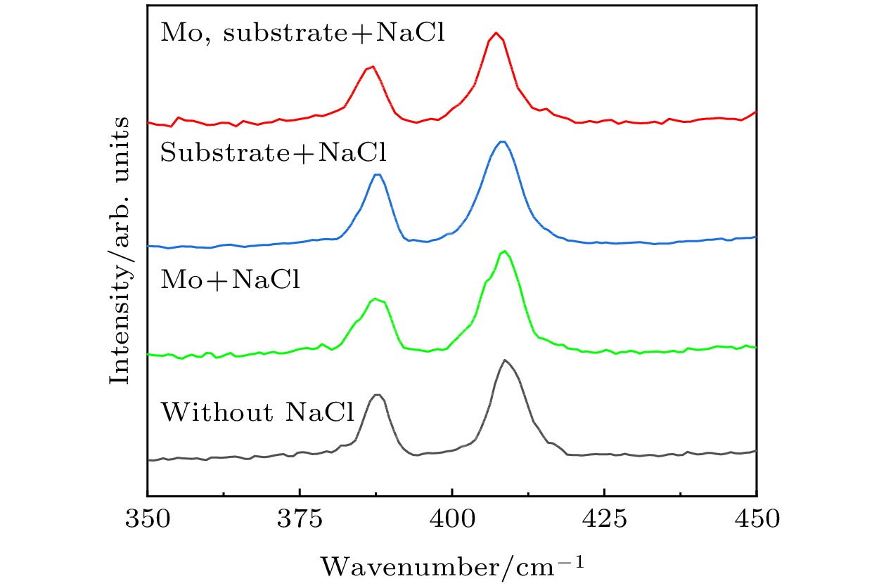 单层MoS 2 薄膜的NaCl双辅助生长方法