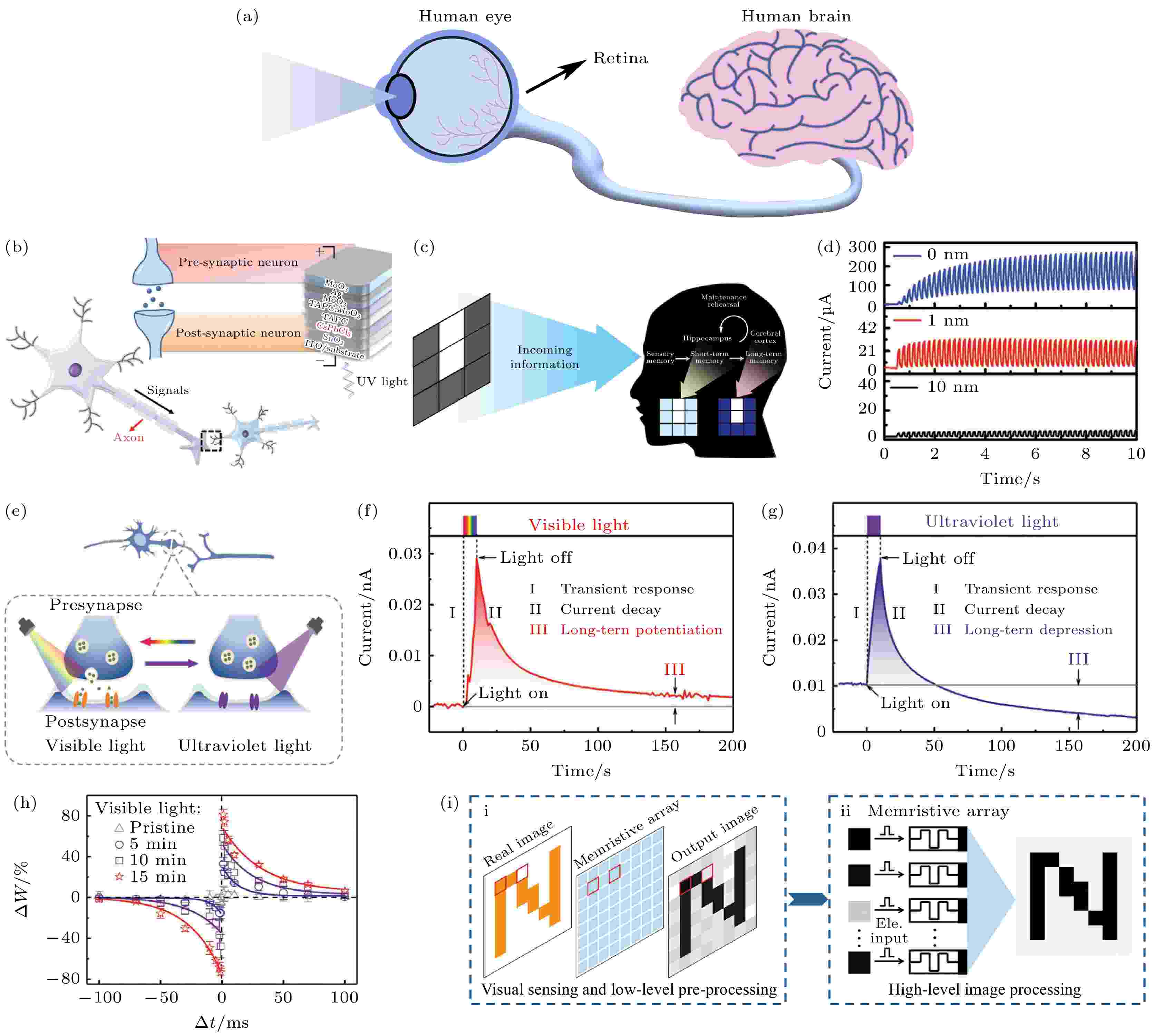 Multimode modulated memristors for in-sensor computing system
