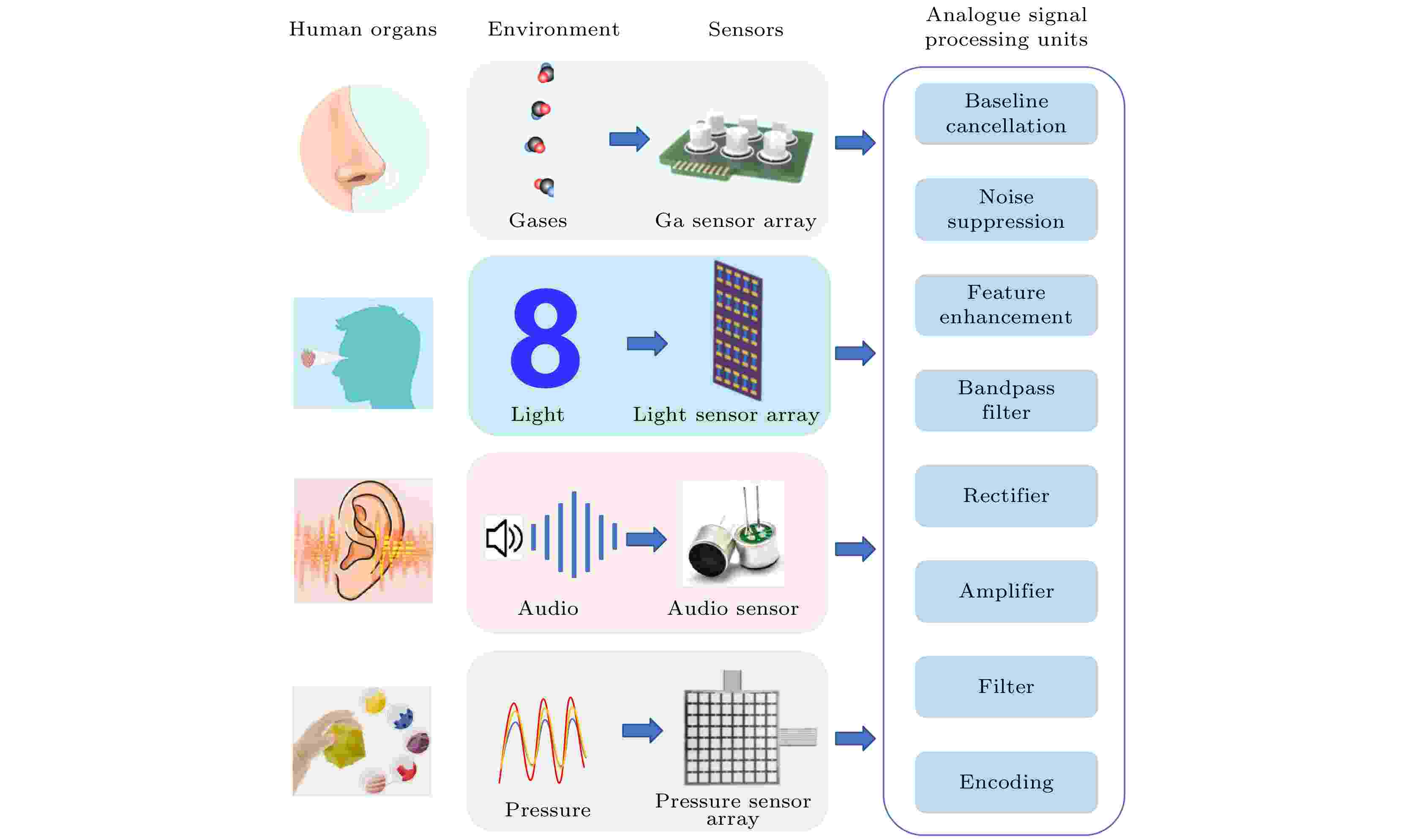 Bio-inspired sensory systems with integrated capabilities of sensing ...
