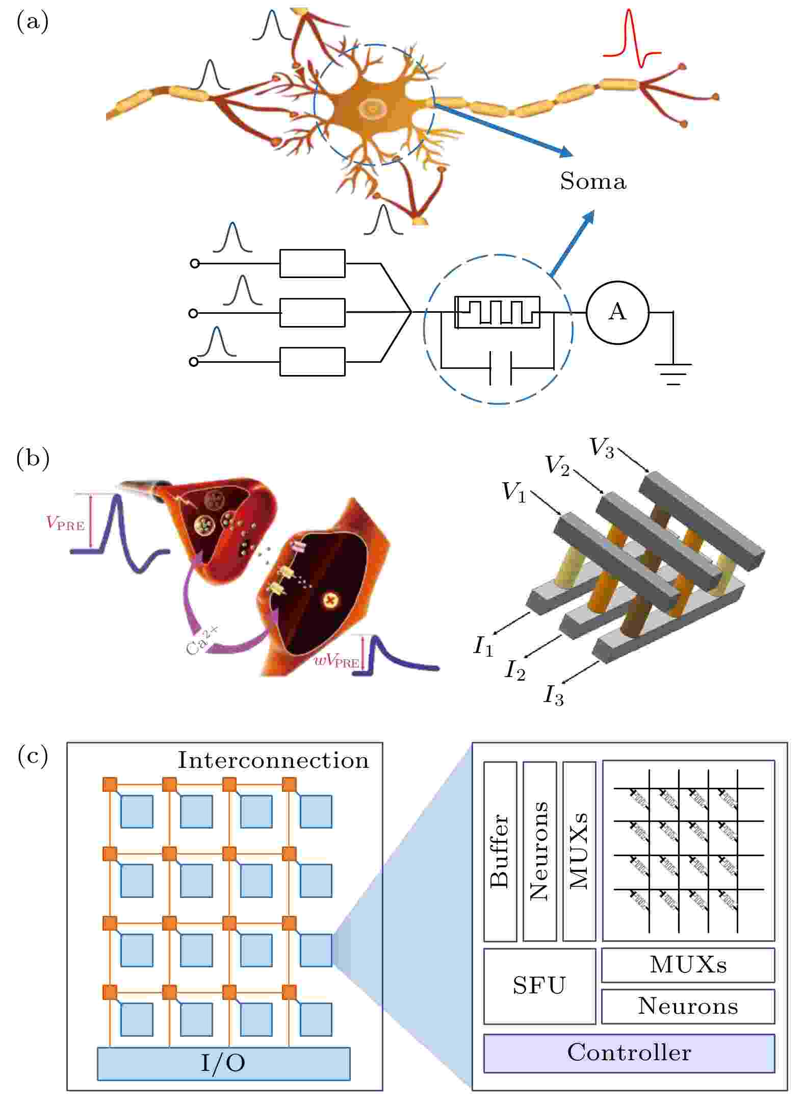Bio-inspired sensory systems with integrated capabilities of sensing ...