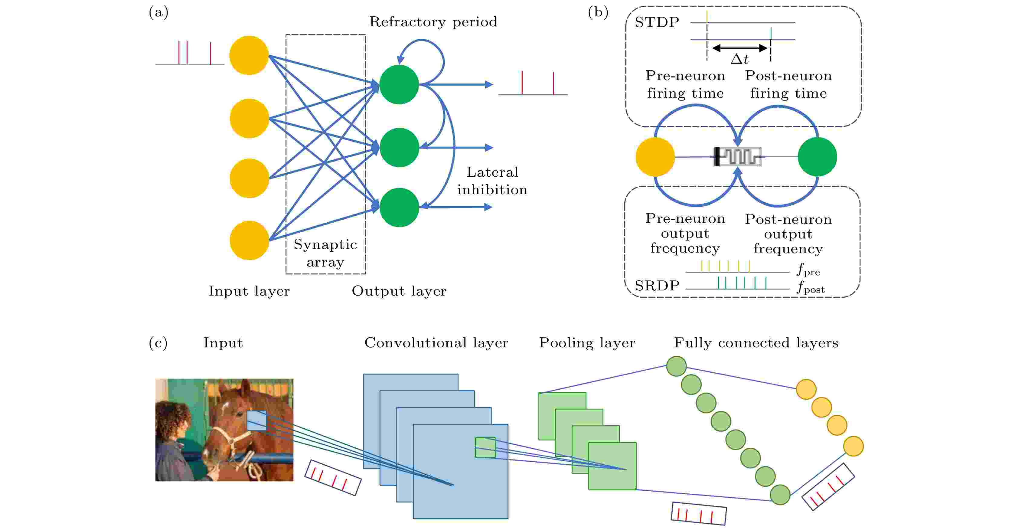 仿生生物感官的感存算一体化系统