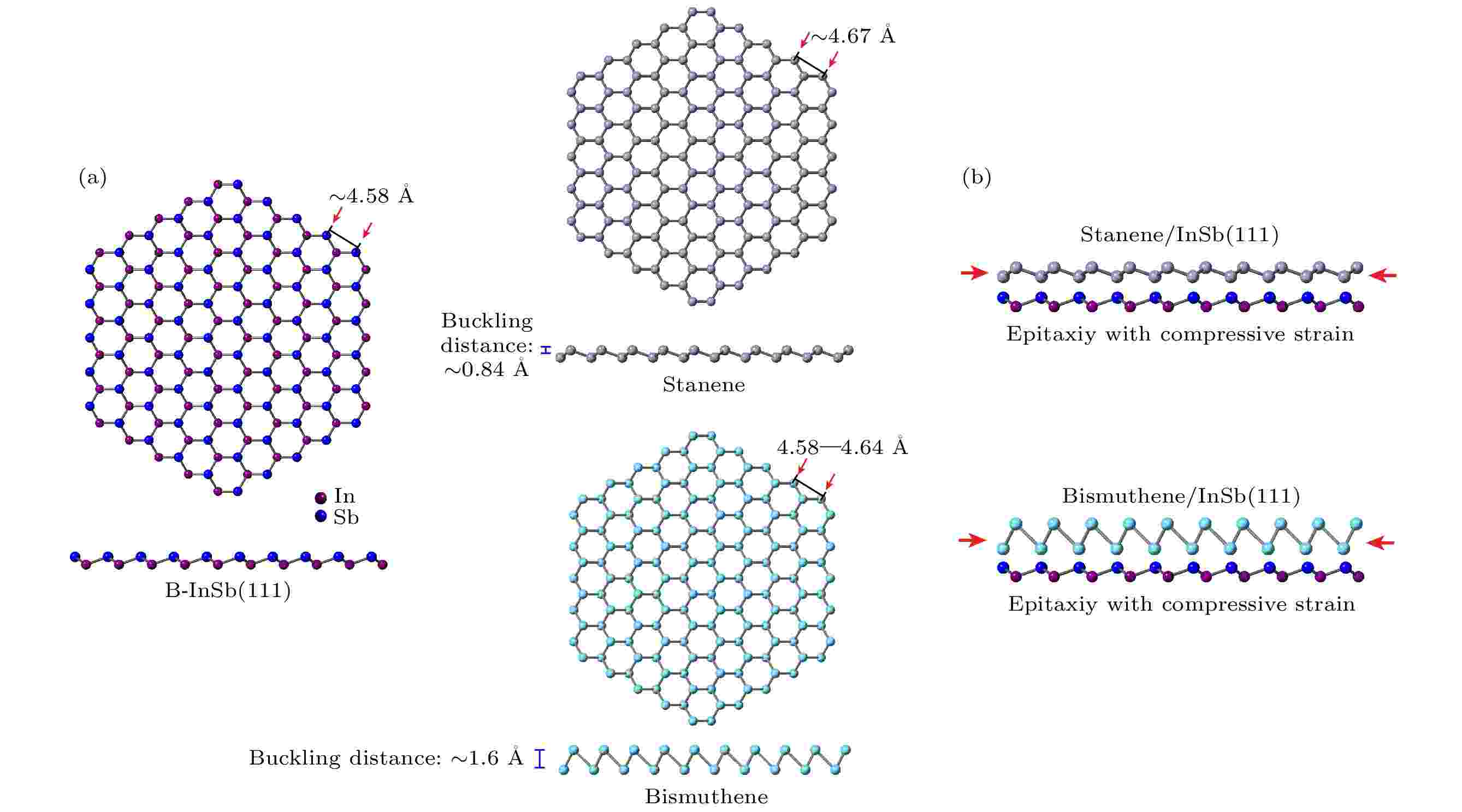 Comparative study on epitaxial growth of stanene and bismuthene on InSb ...