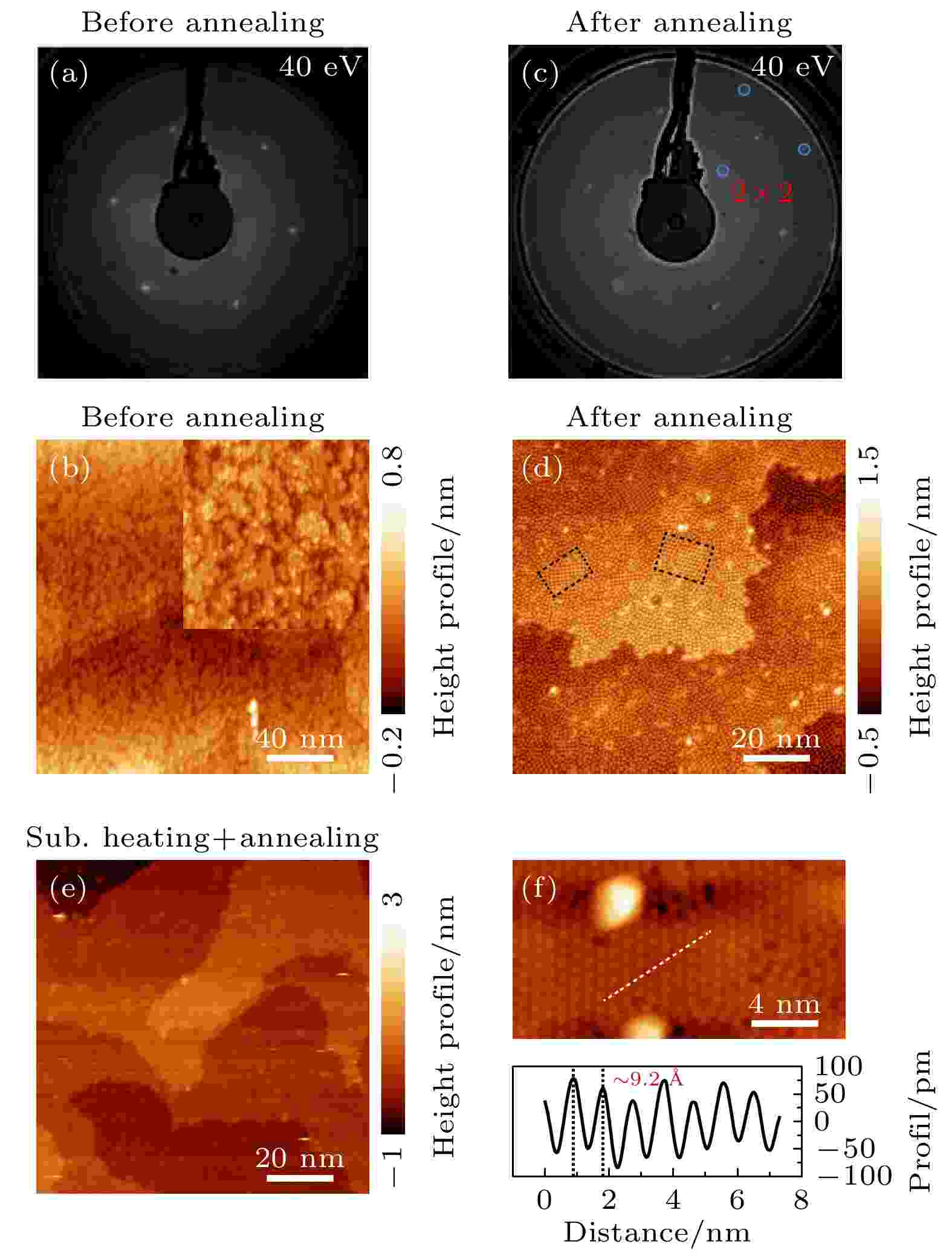 Comparative study on epitaxial growth of stanene and bismuthene on InSb(111) substrate
