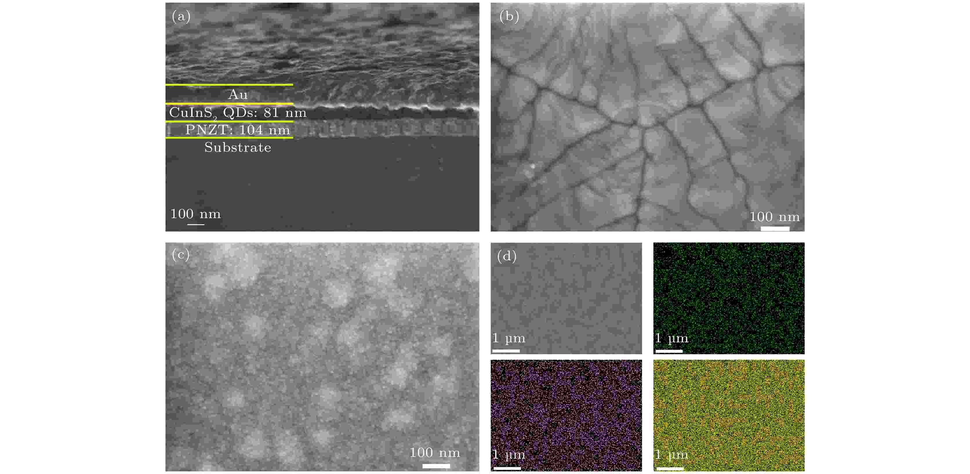 Resistive properties of CuInS 2 quantum dots regulated by niobium-doped ...