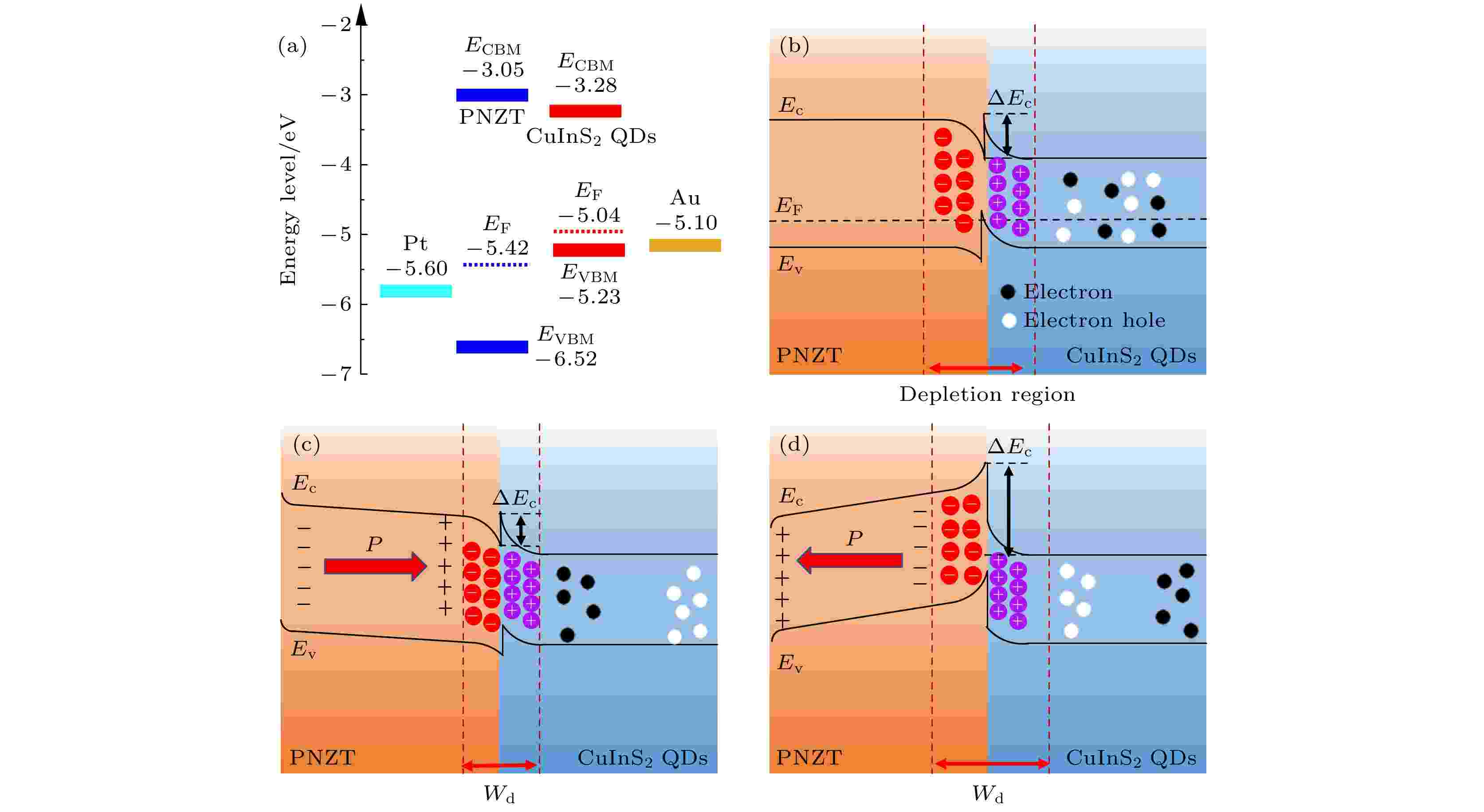 Resistive properties of CuInS 2 quantum dots regulated by niobium-doped lead zirconate titanate ...