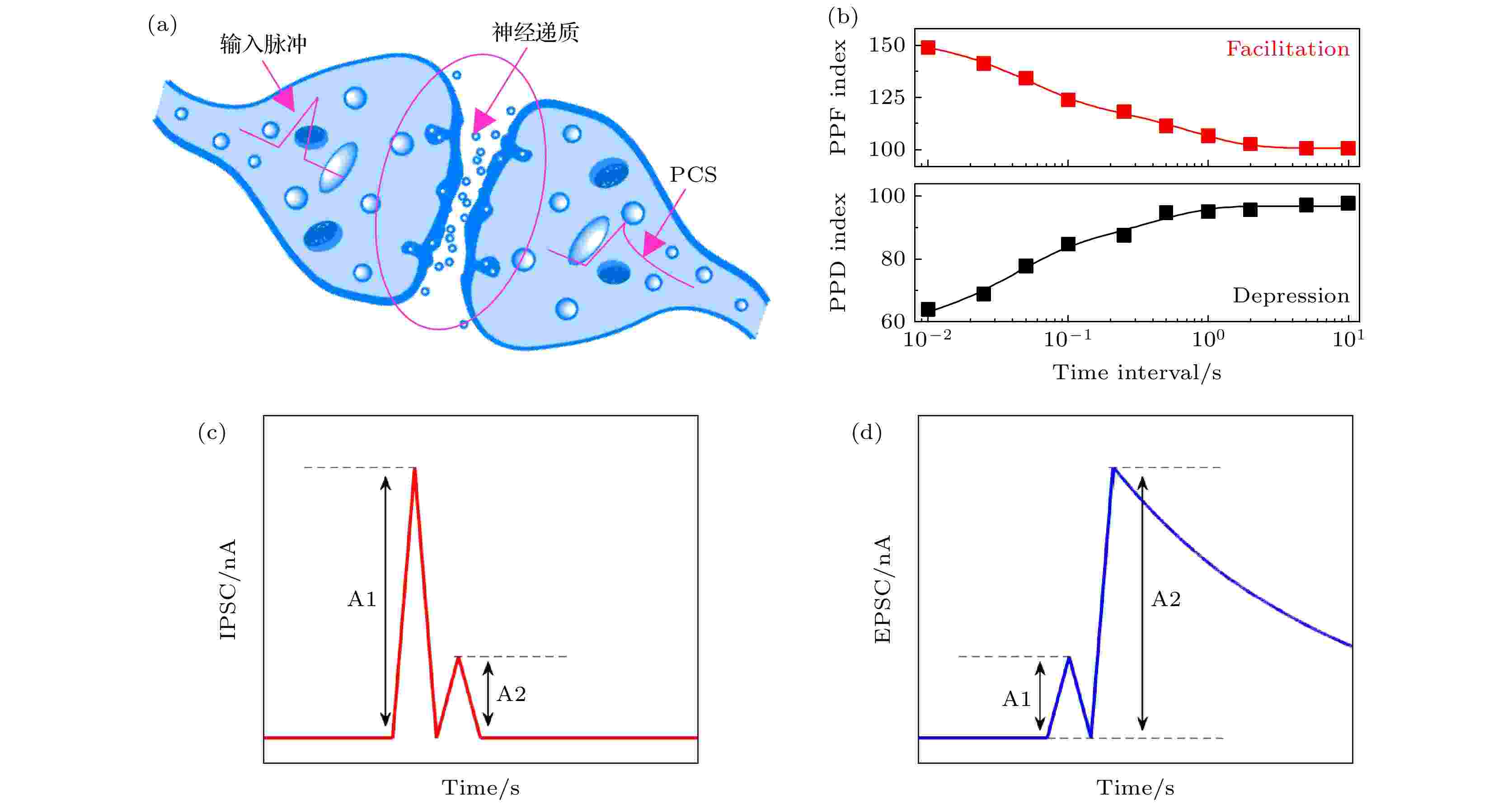 基于二维层状材料的神经形态器件研究进展