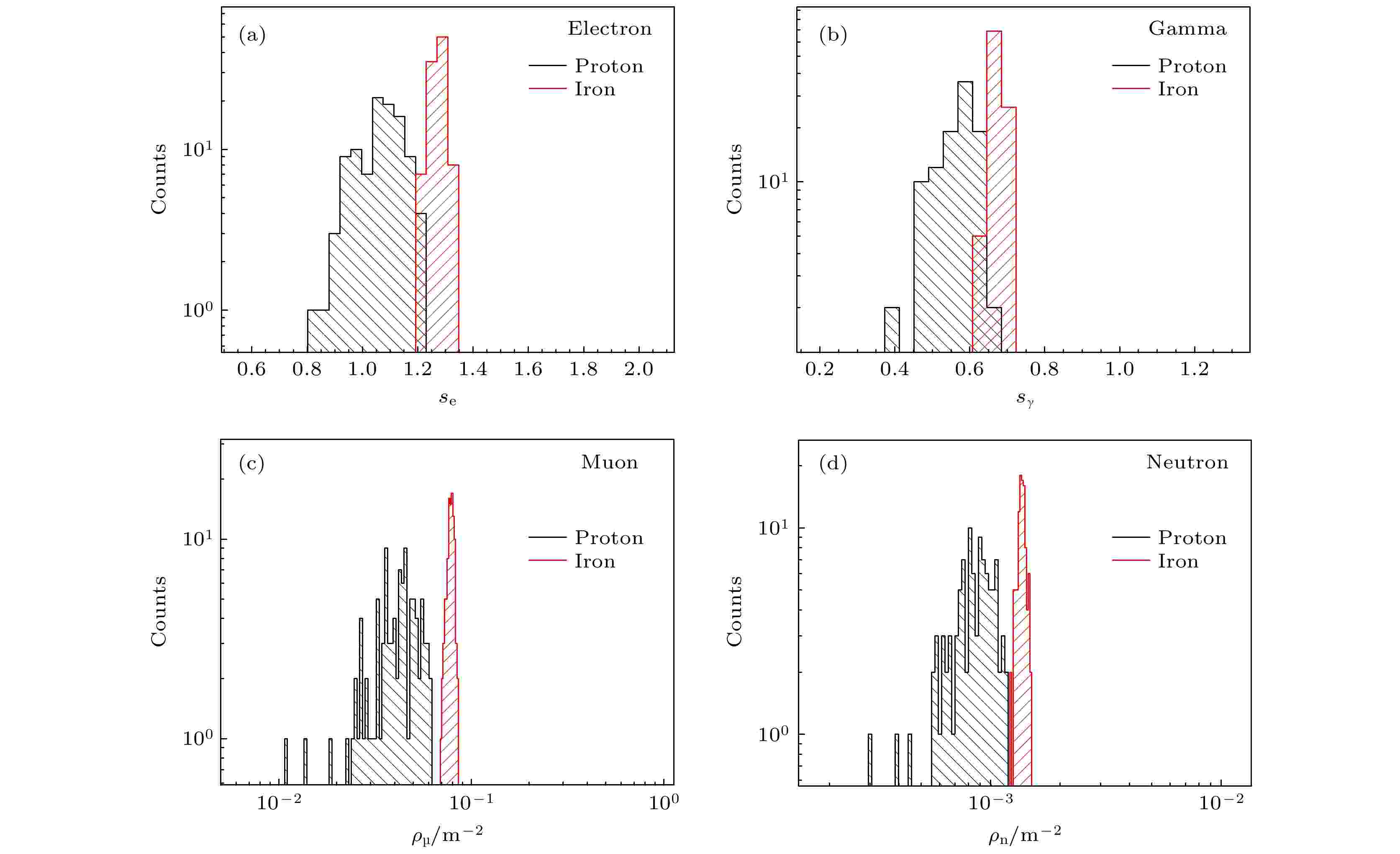 膝区宇宙线广延大气簇射次级成分的特征