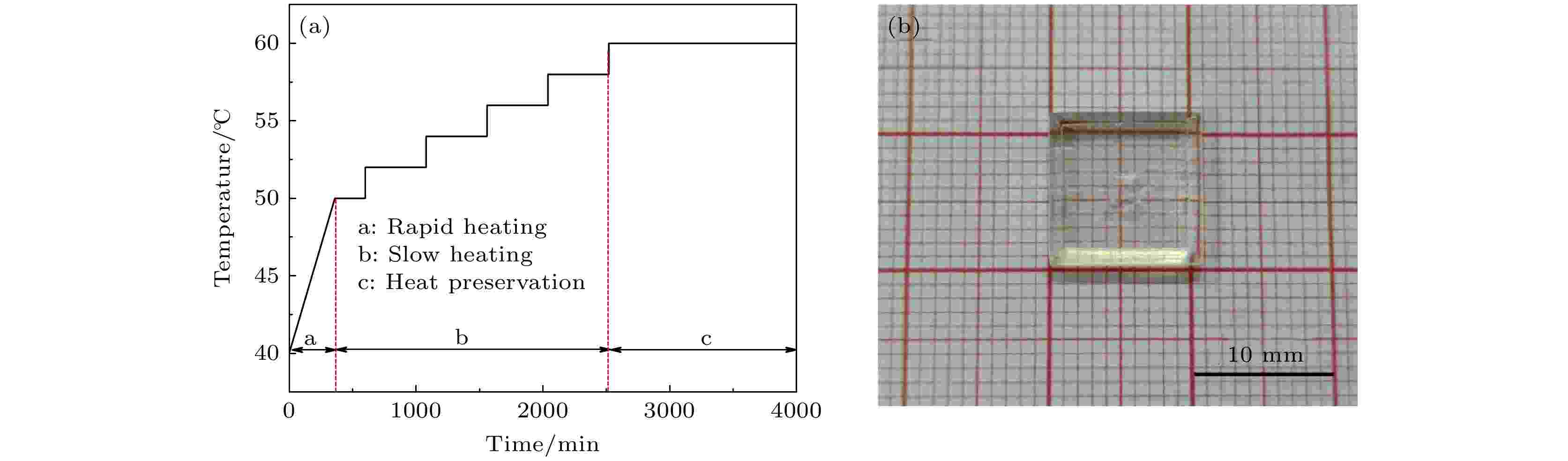 大尺寸高质量CH 3 NH 3 PbCl 3 钙钛矿单晶的生长机理、相转变与光学性能