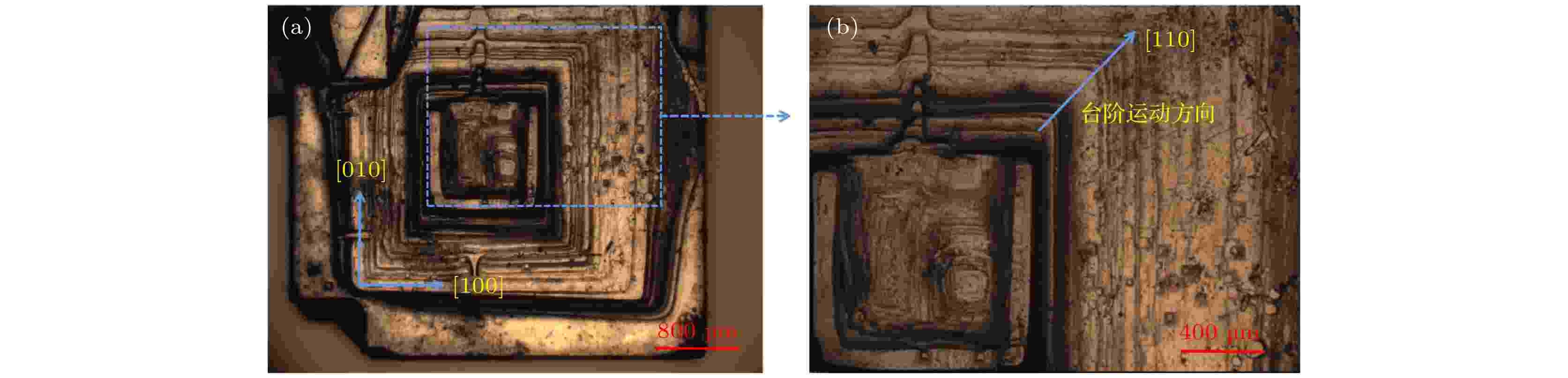 大尺寸高质量CH 3 NH 3 PbCl 3 钙钛矿单晶的生长机理、相转变与光学性能