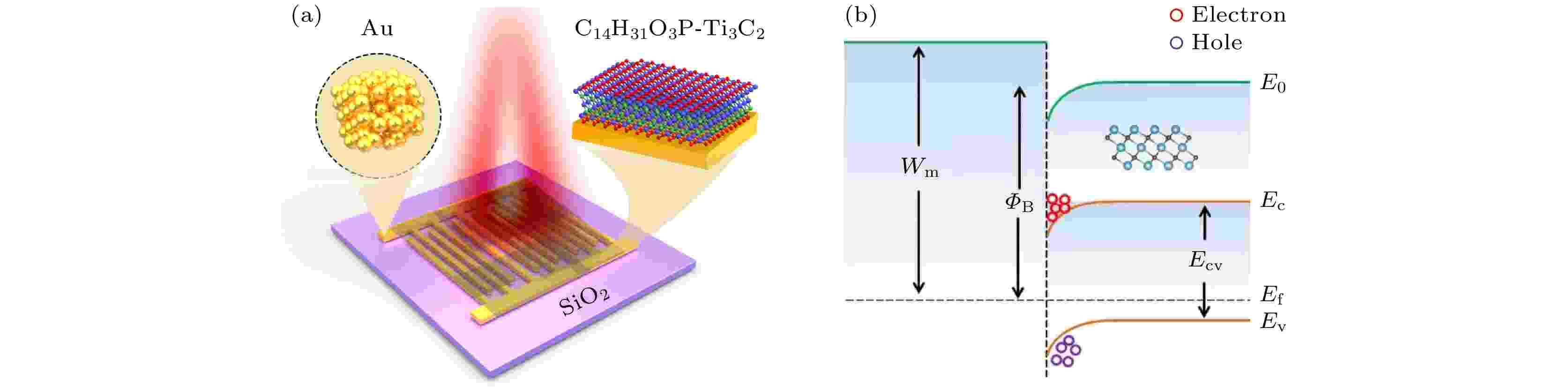 基于C 14 H 31 O 3 P-Ti 3 C 2 /Au肖特基结的自驱动近红外探测器