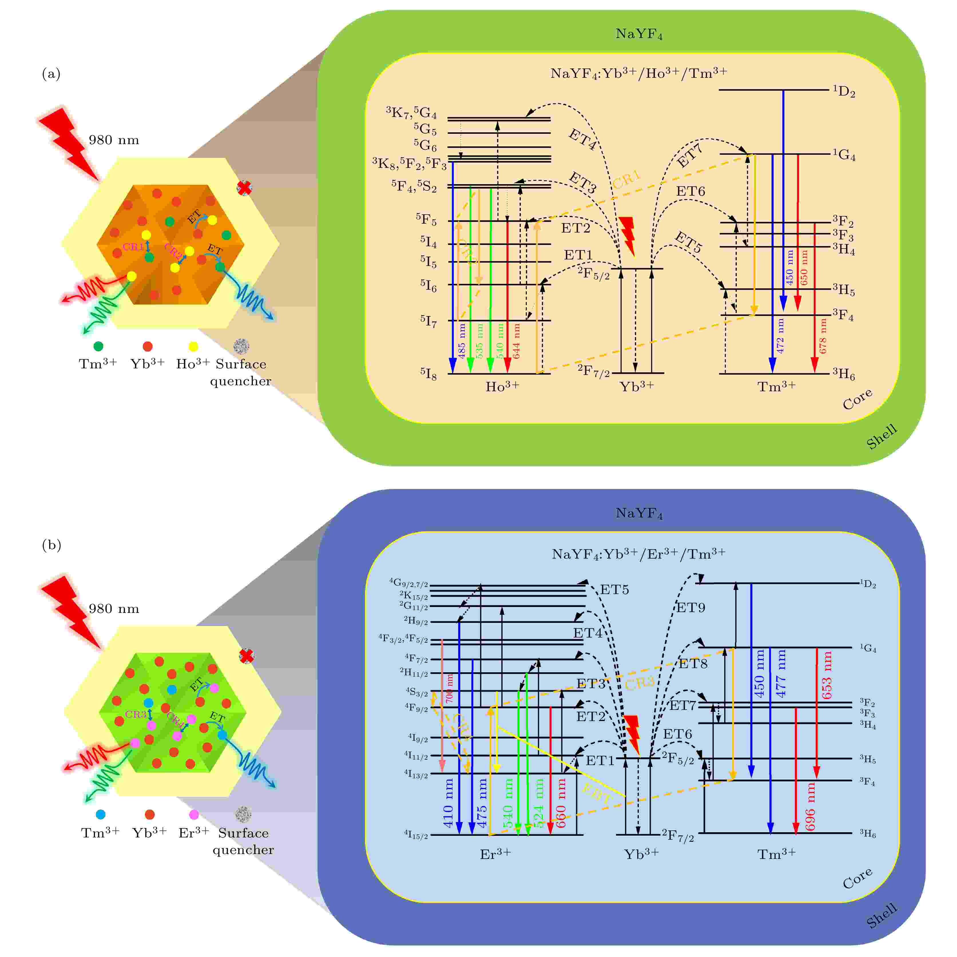 基于单颗粒NaYF 4 微米棒的上转换白光发射特性