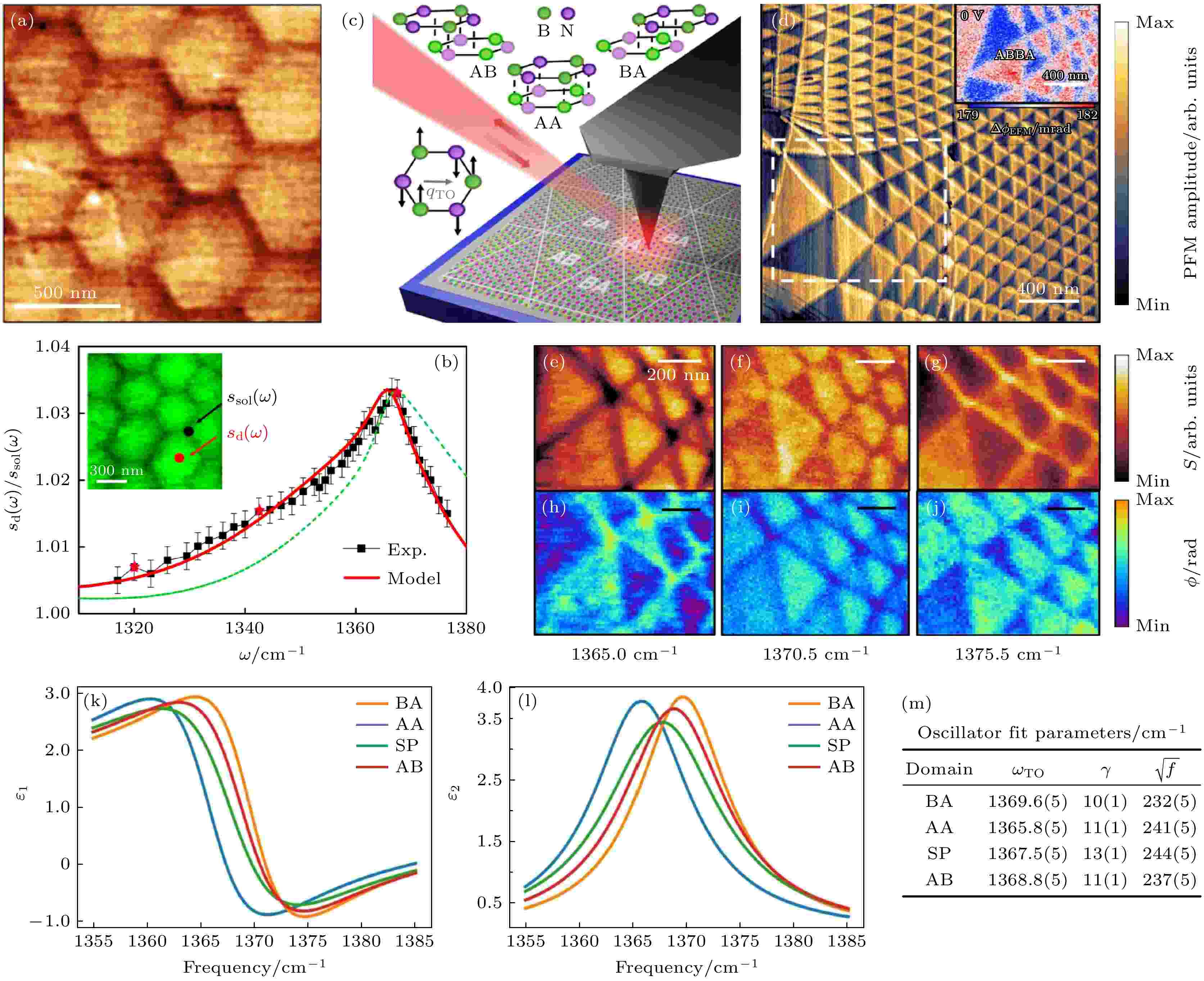 Near-field optical characterization of atomic structures and polaritons in twisted two ...