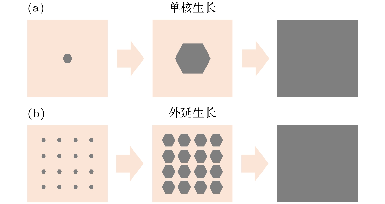 Growth of two-dimensional single crystal materials controlled by atomic ...