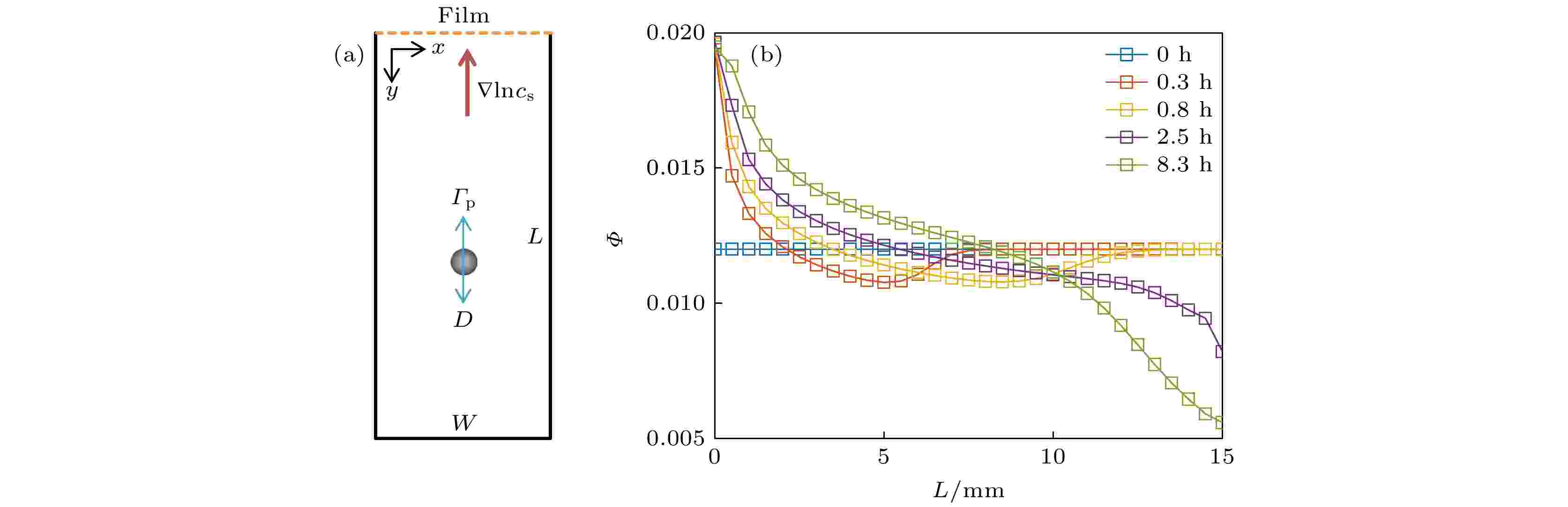 Directional motion of charged particles near filter membrane