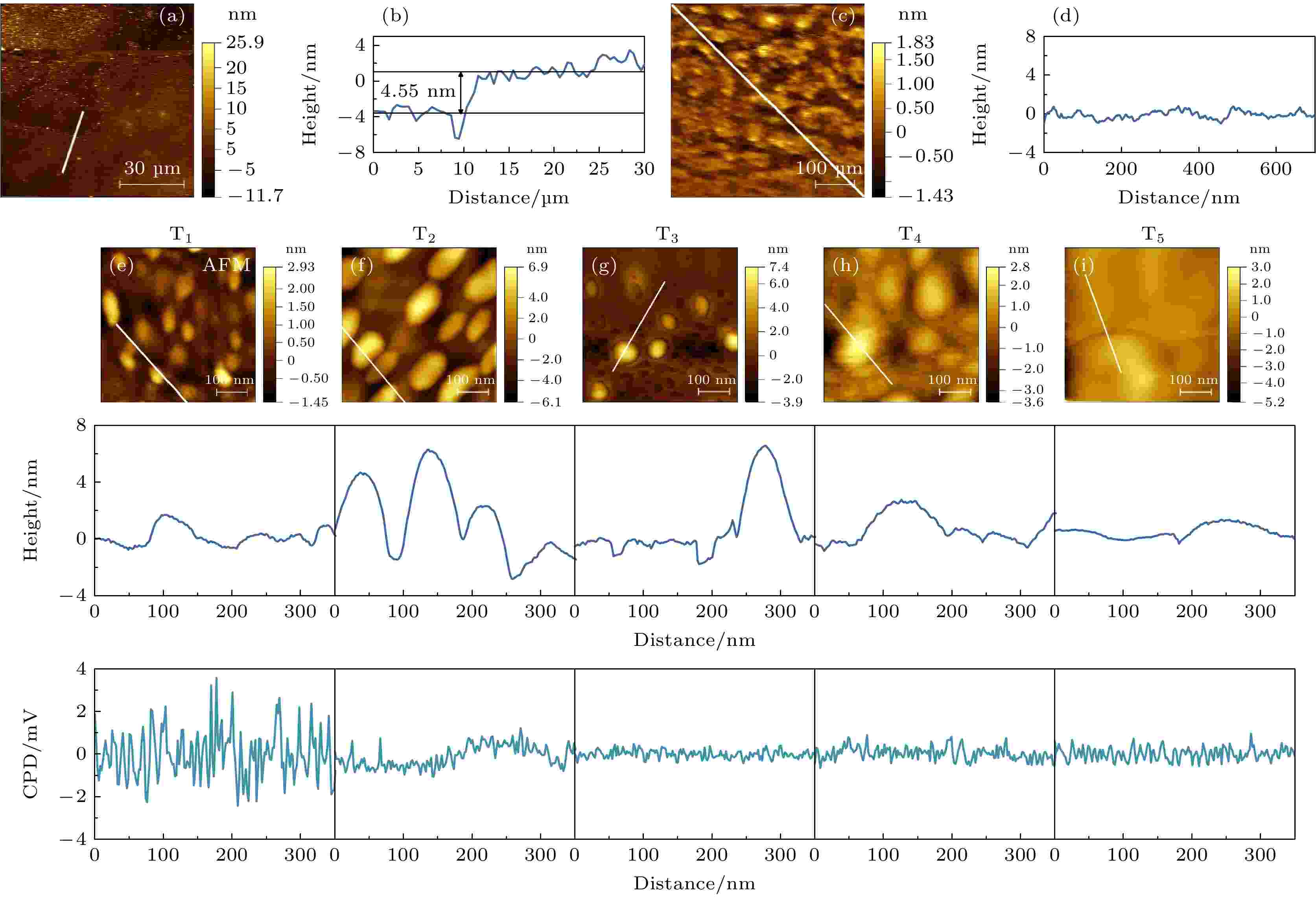 F 4 TCNQ/MoS 2 纳米复合异质材料的表面结构对SERS的影响