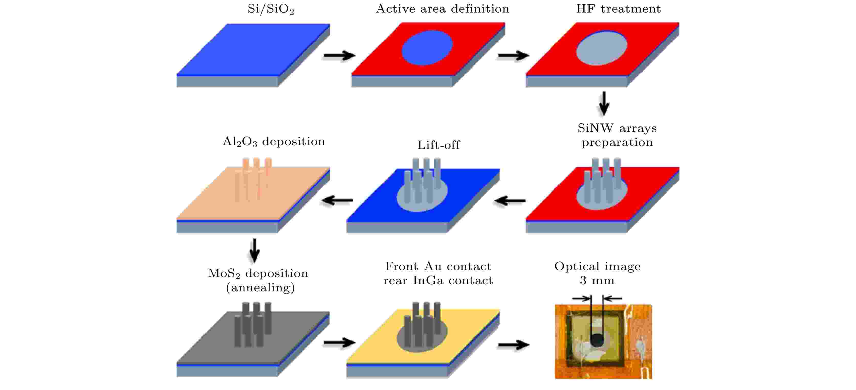 Research progress of silicon nanowires array photodetectors
