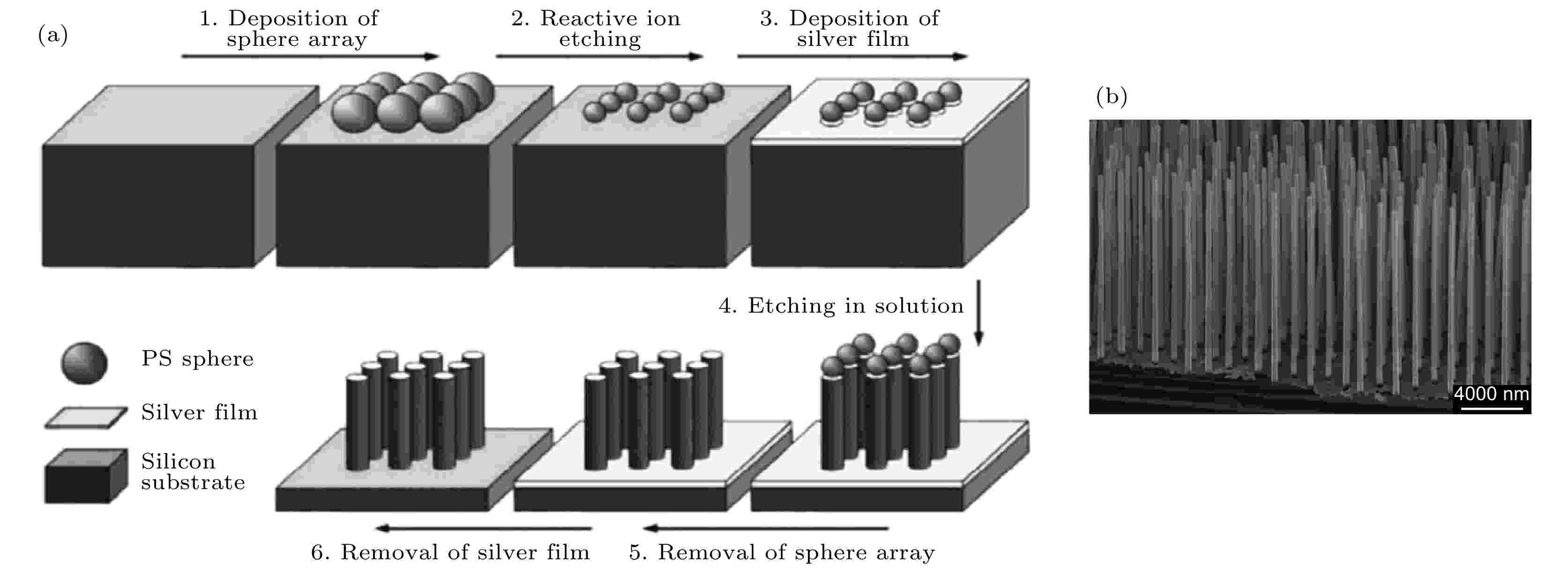 Research progress of silicon nanowires array photodetectors