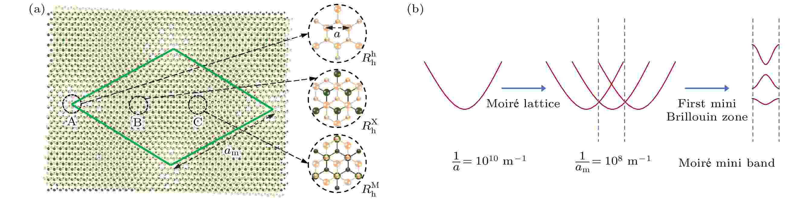 Exciton insulator in a moiré lattice