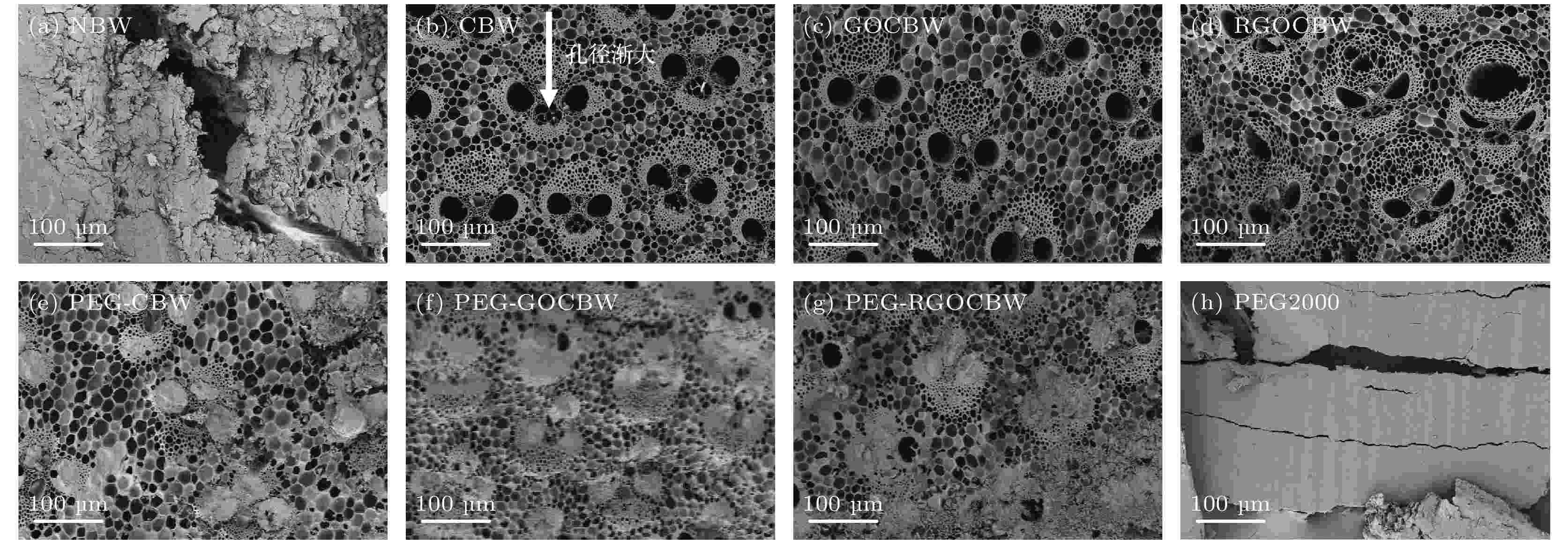 木基生物质碳化骨架负载聚乙二醇相变材料及表面修饰对蓄传热性能的强化