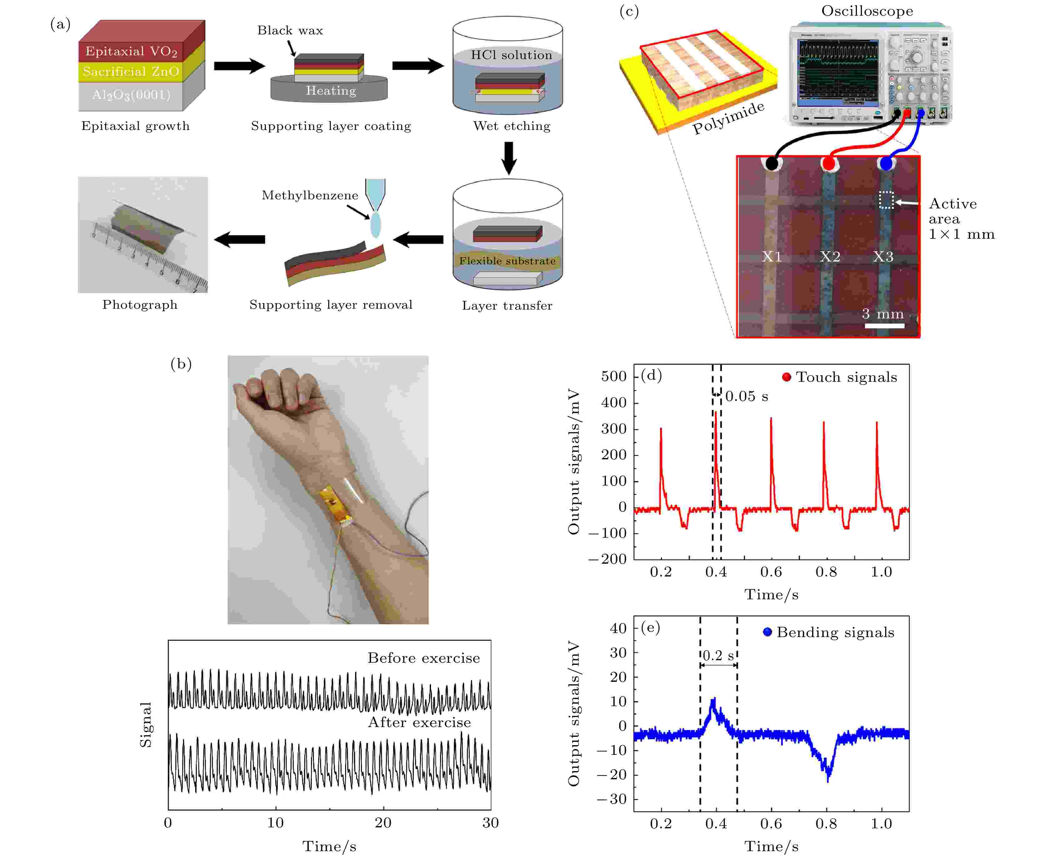 Research progress of applications of freestanding single crystal oxide ...