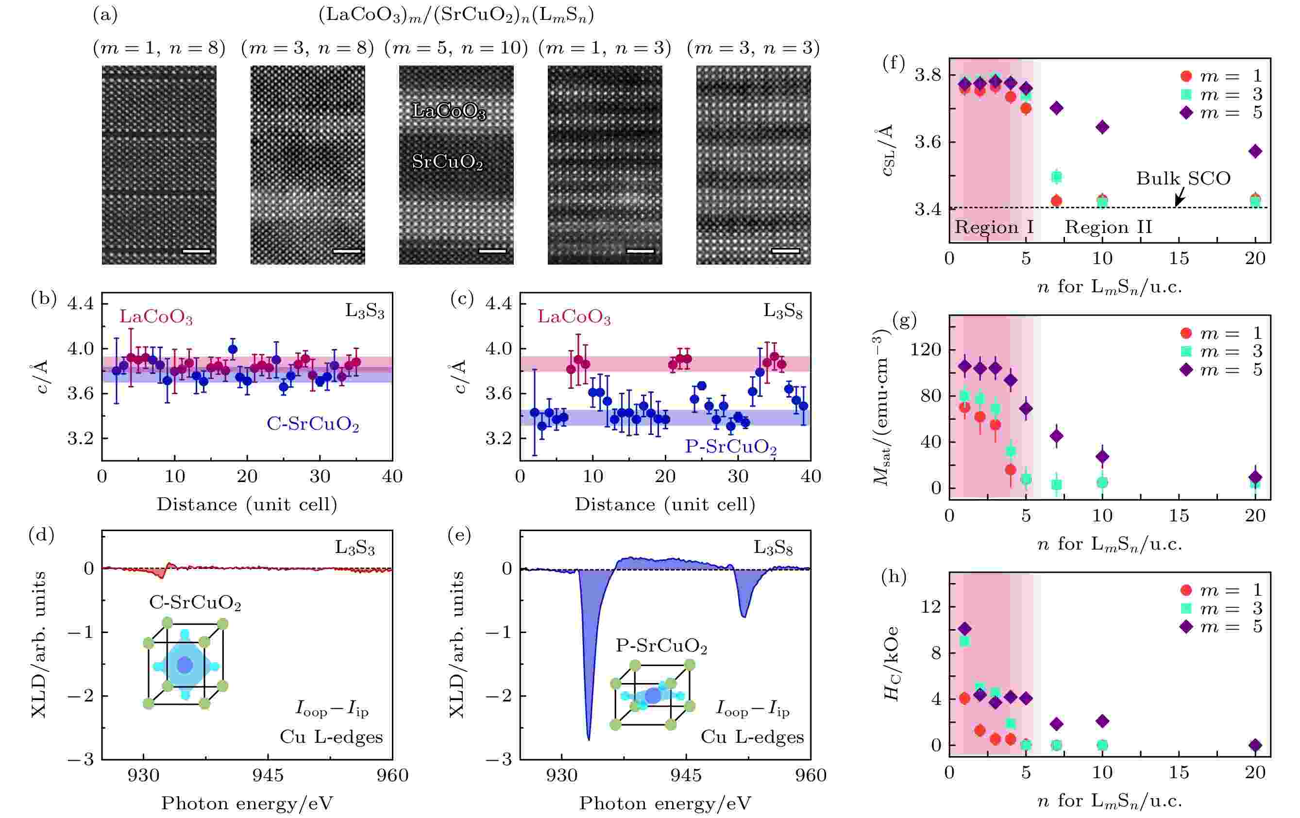 Strong spin-lattice entanglement in cobaltites