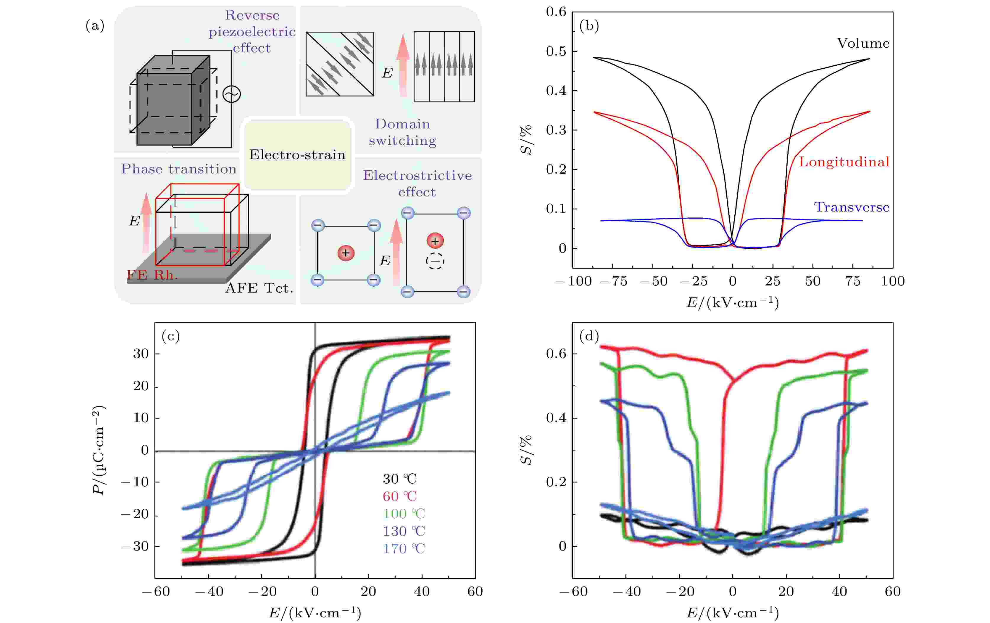 锆酸铅基反铁电薄膜研究现状与展望